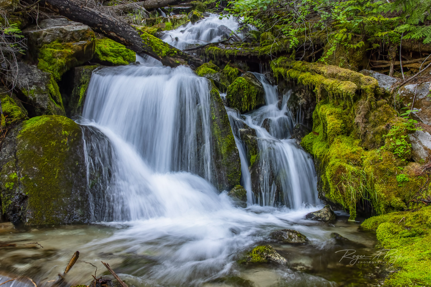 Middle Spring | Entiat, Washington | Roger Pugh Photography